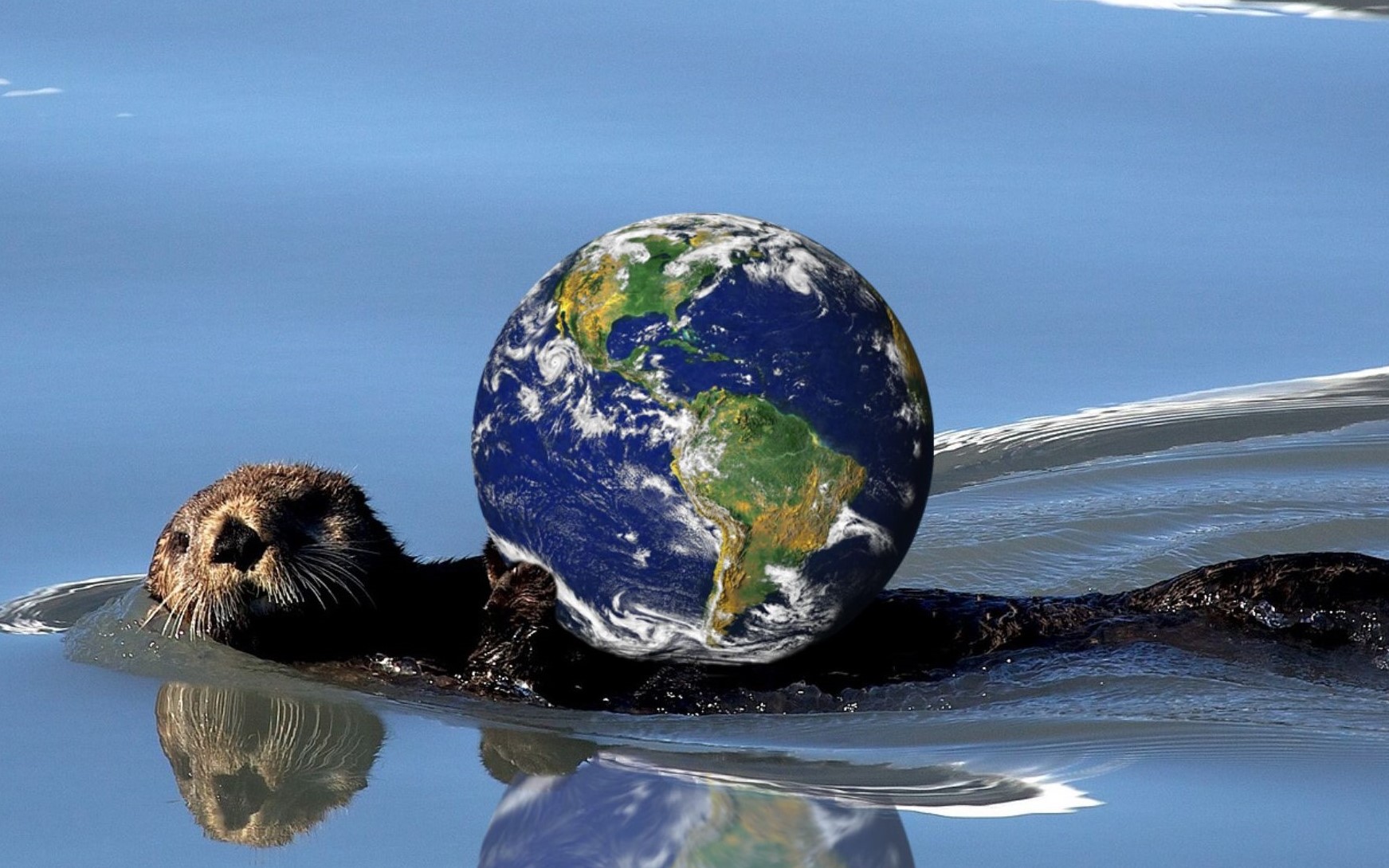 Updates On Fulfillment and Products | Otter Things